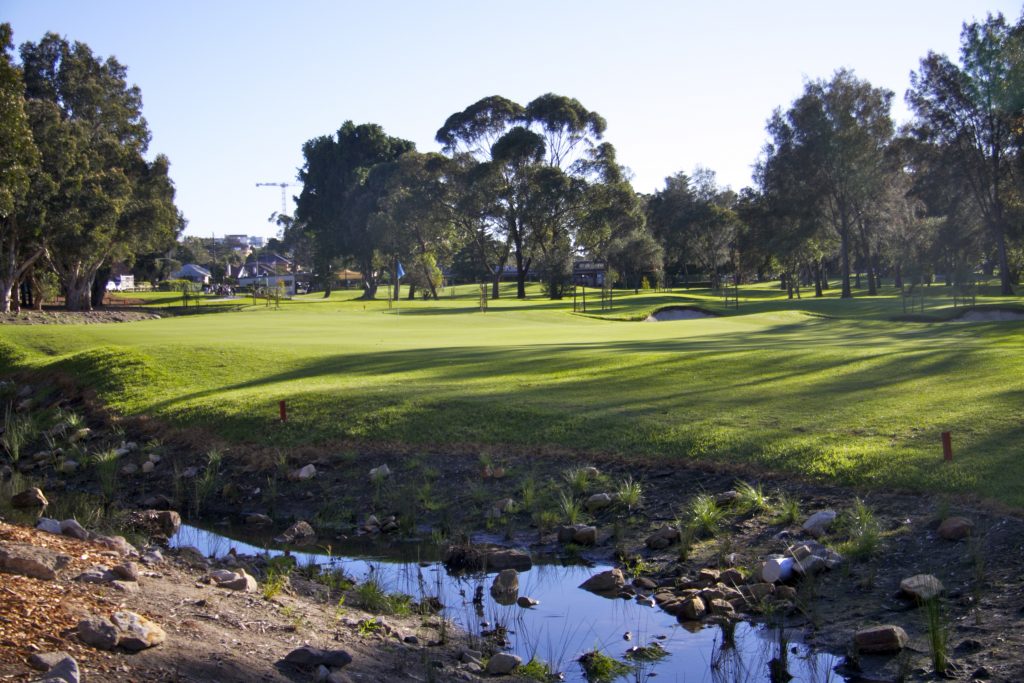 Membership – Beverley Park Golf Club