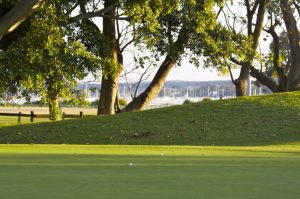 Beverley Park Golf Club – Your Community Golf Club